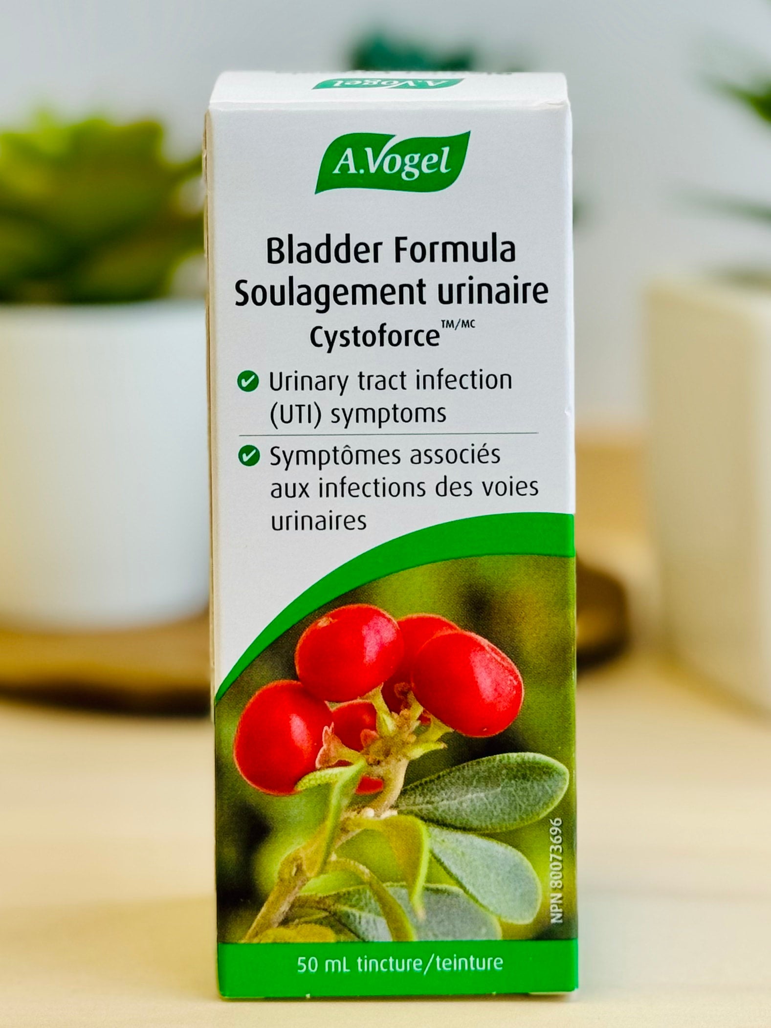 Bladder Cystoforce A Vogel | Better Living Centre